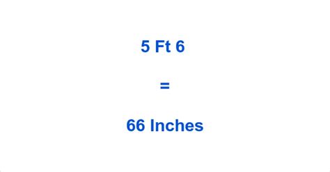 5 Ft 6 In Inches - Housing Innovations