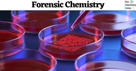 Beginner’s Guide to Masters in Forensic Science: What You Need to Know ...