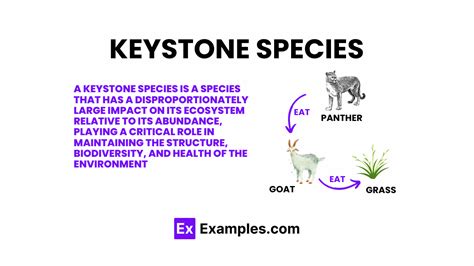 Keystone Species Examples - Housing Innovations